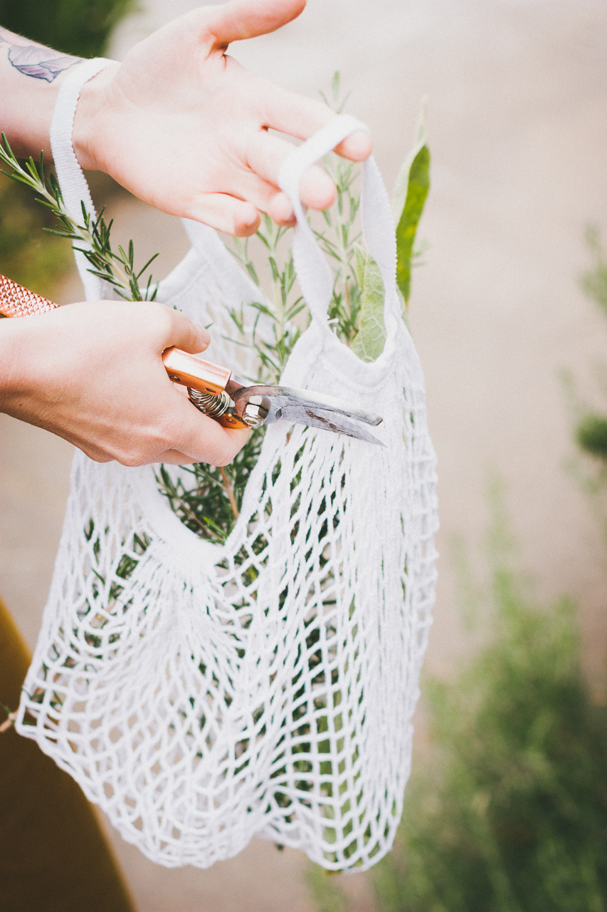 Urban Foraging Tips, Rules and Resources for Beginners