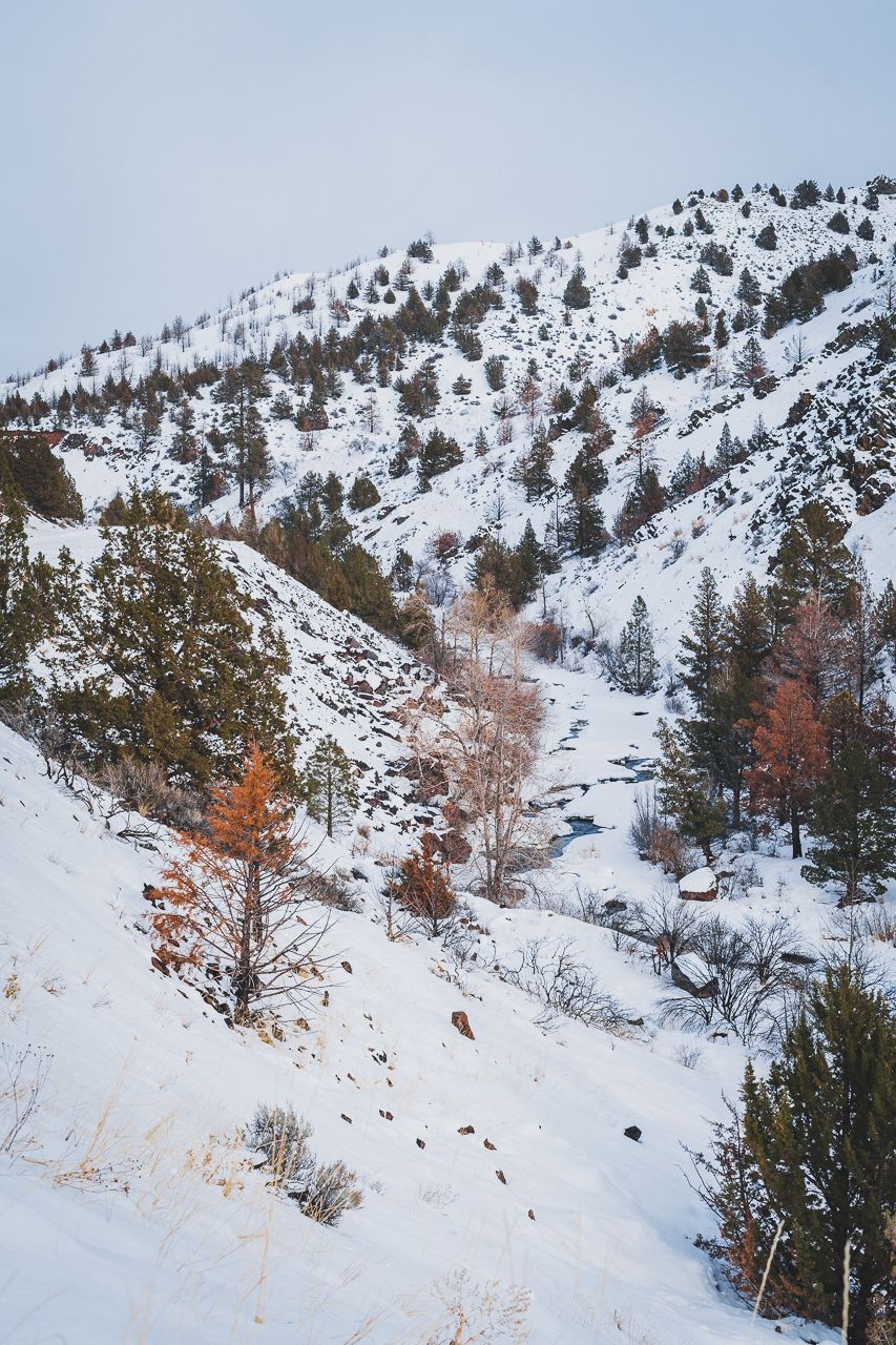 Summer Lake Hot Springs Resort Review